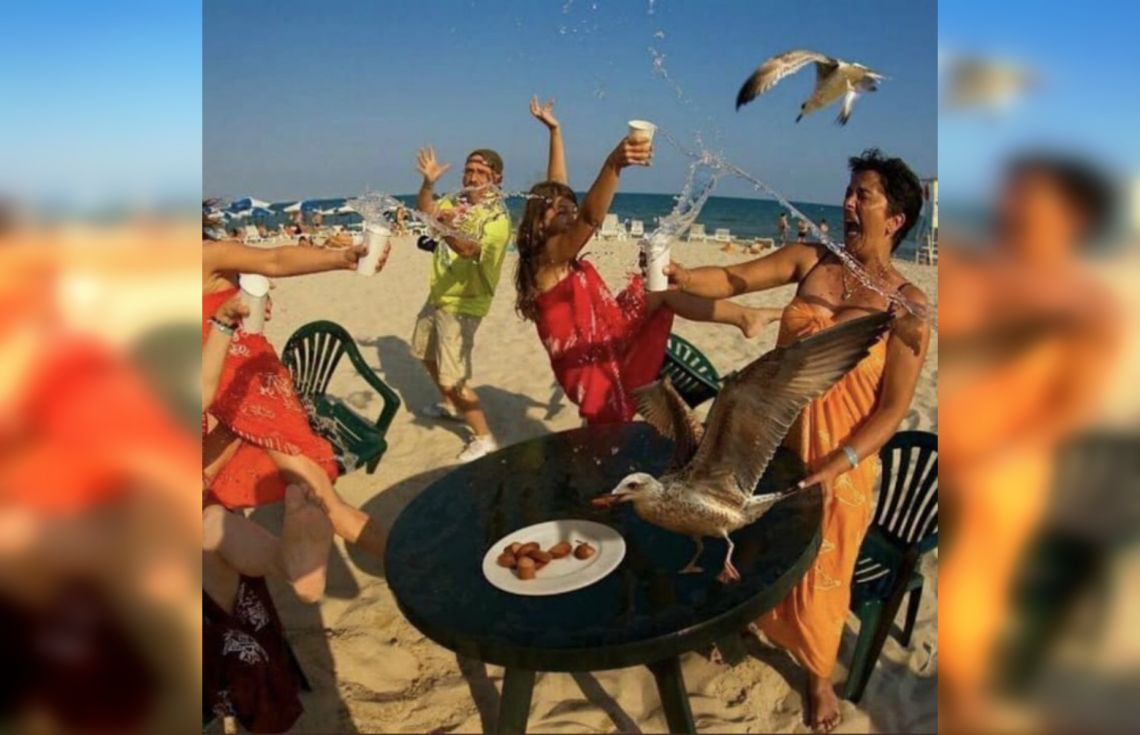 30 Funny Beach Photos - Lite-Story