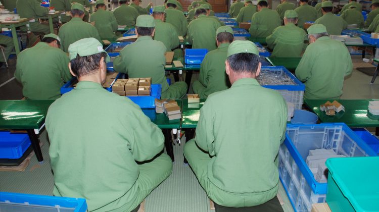 Behind Bars: A Glimpse into Prison Cells Worldwide - Lite-Story