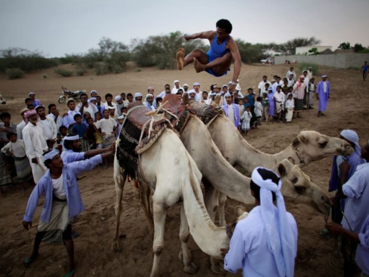 Living on the Edge: A Glimpse into Unconventional Sports - Lite-Story